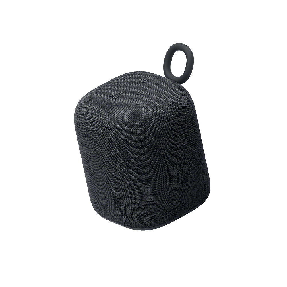 LinkBuds Speaker (Black) LinkBuds Speaker (Black)
